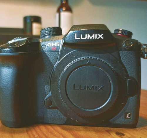 Panasonic lumix gh5s