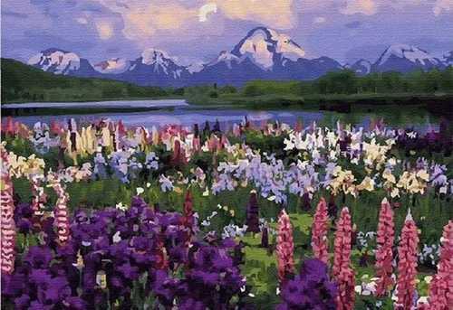 Картина по номерам 40х50подрамник Цветочная долина