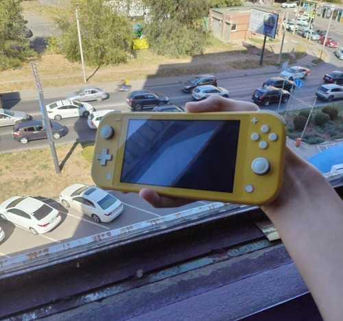 Nintendo switch lite