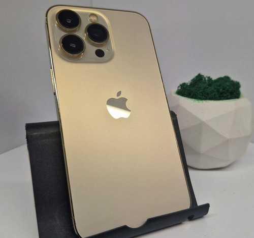 iPhone 13 Pro, 256 ГБ