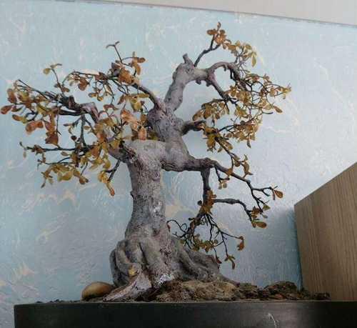 Искусственное дерево бонсай
