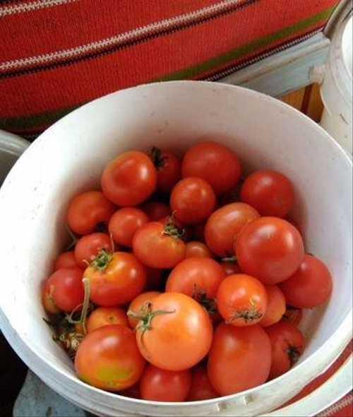 Семена томатов и Плоды черри