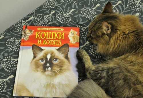 Книга про кошек и котят :) Новая