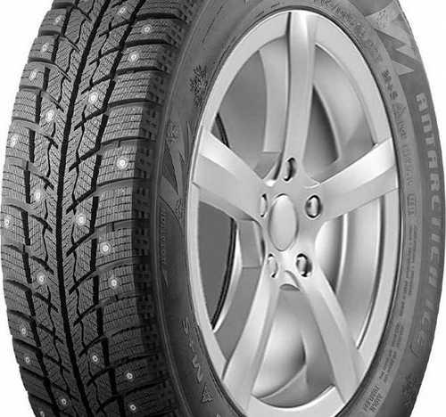 Pace Antarctica Ice 205/65 R16 99T