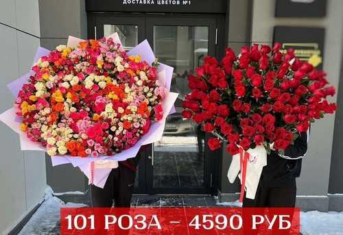 Цветы Розы 101 51 151 Букет Роз Доставка 24