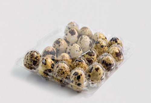 Упаковка для яиц перепелиных пэт