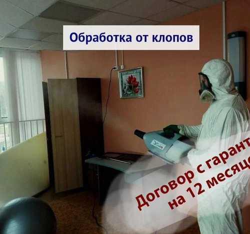 Уничтожение клопов тараканов грызунов блох