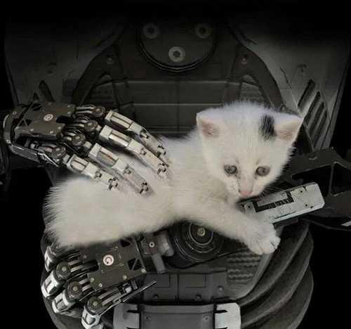 The talos principle deluxe edition PS4