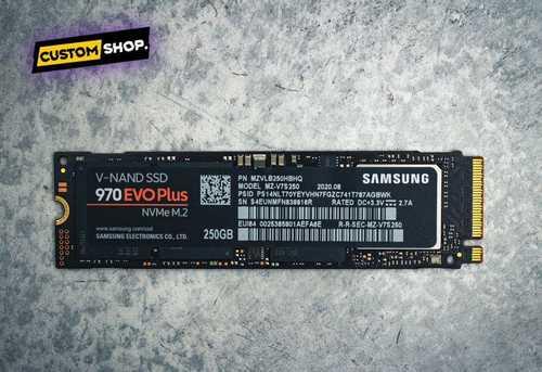 SSD-накопитель M.2 Samsung 970 EVO Plus 250Gb