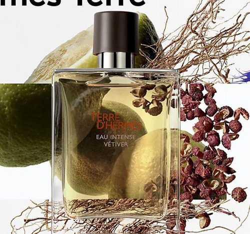 Hermes Terre