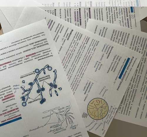 Конспекты по микробиологии