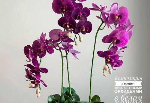 Интертерная композиция из орхидей