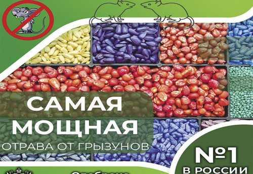 Отрава от мышей и крыс