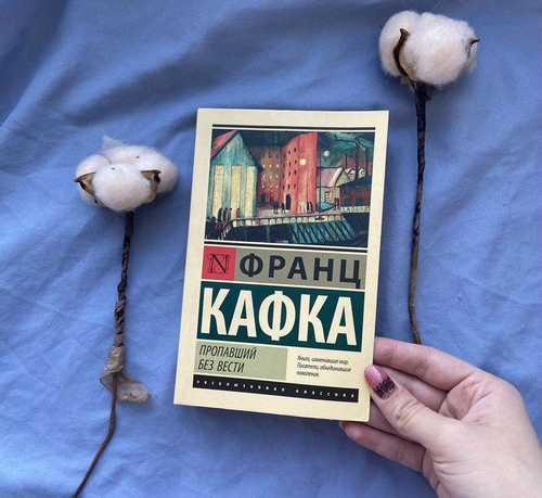 Франц Кафка. Пропавший без вести. Книга