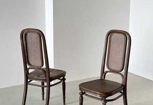 Старинные стулья Кон, Европа, 19 век
