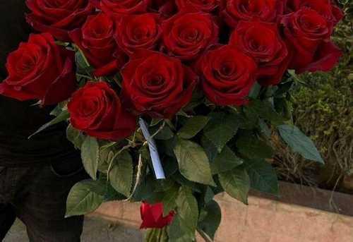 Розы Букеты Цветы Розы 31 101 151 201 Доставка