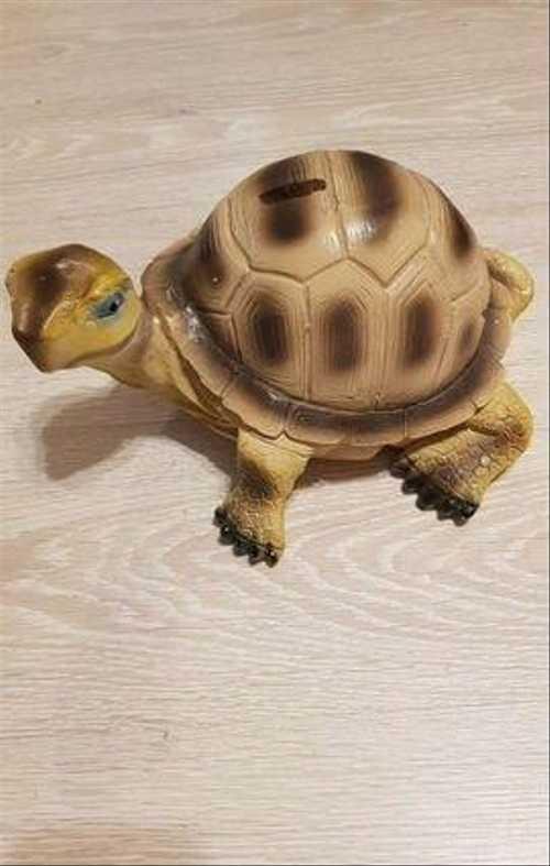 Статуэтка копилка черепах