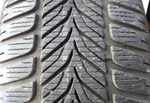 Sava Eskimo HP 195/50 R15