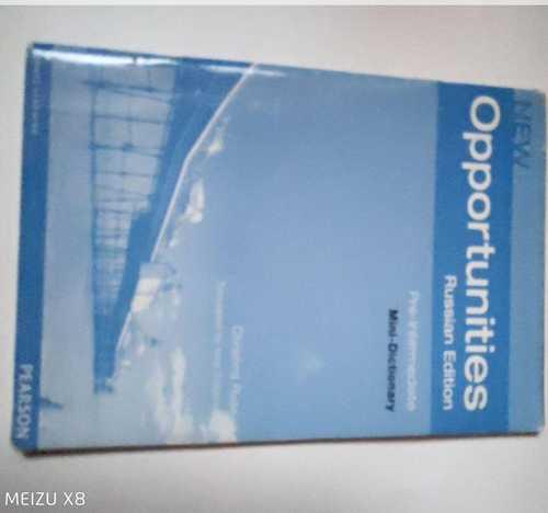 New opportunities mini dictionary