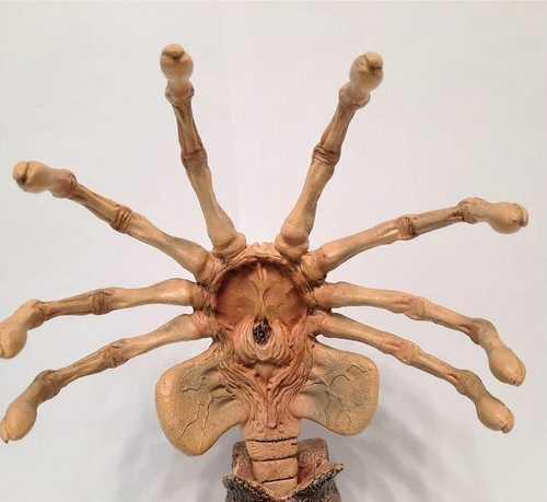 Neca - Facehugger Extreme Head Knockers