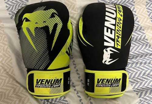Боксерские перчатки Venum training camp 16oz