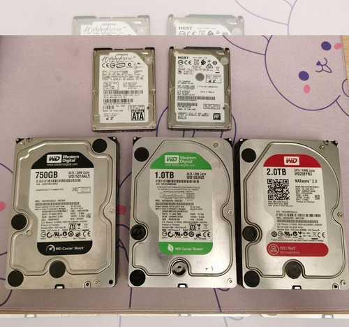 Жесткий диск WD, hgst, Hitachi