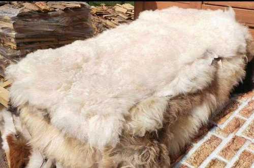 Шкуры овечьи большой выбор разных размеров