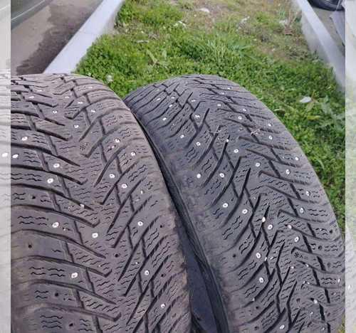 Nokian Tyres Hakkapeliitta 8 205/50 R17