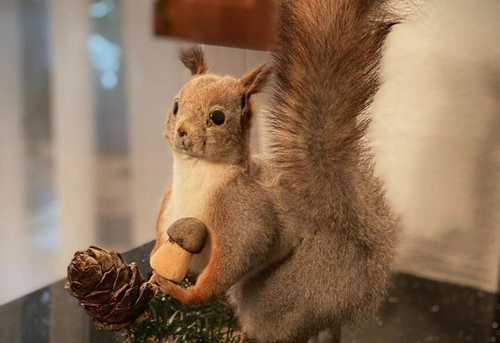 Чучело белки