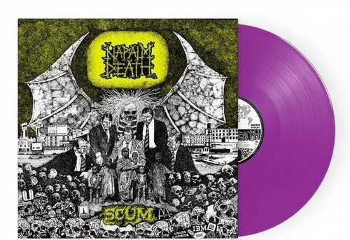Napalm Death Scum винил цветной
