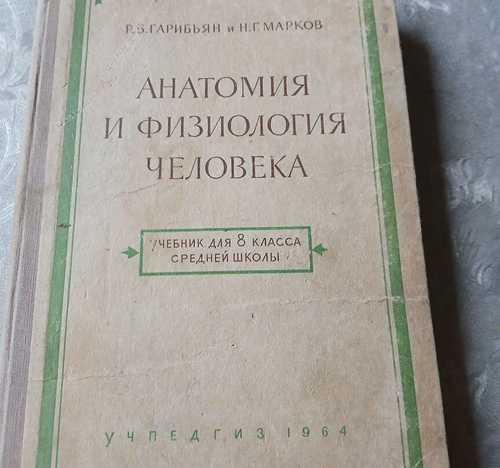 Анатомия и физиология человека. 1964 год