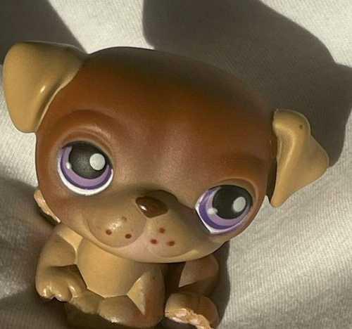 Littlest pet shop lps лпс 133 мопс