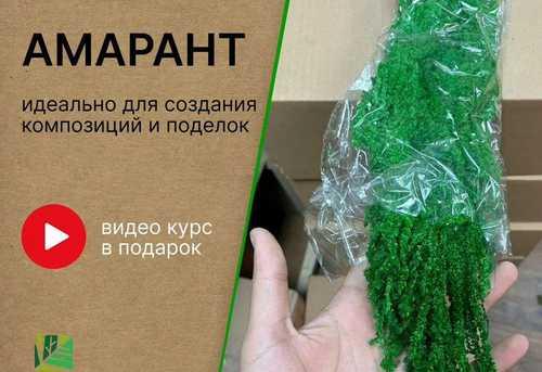 Стабилизированные растения Амарант арт. 07409072