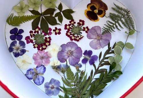Сухоцветы для Вашего творчества гербарий