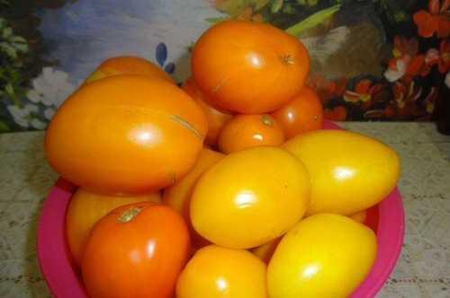 Рассада томатов желтые и оранжевые 20сортов достав
