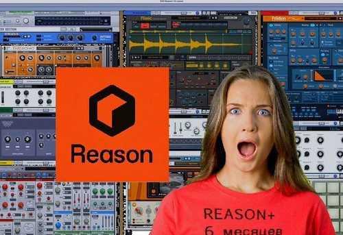 Reason+ плагины и DAW 6 месяцев