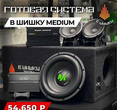Комплект акустики В Шишку Medium