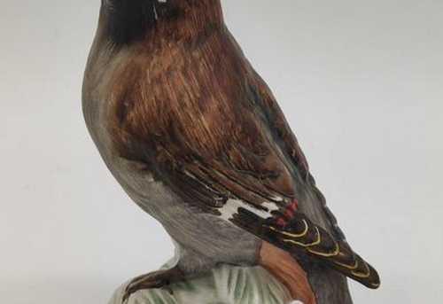 Свиристель фарфоровая статуэтка фигура фарфор птиц