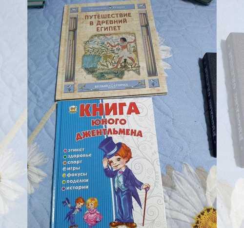 Книга юного джентльмена, Путешествие в др. Египет