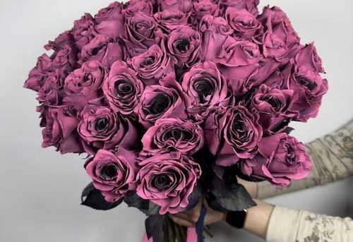 Черно-розовые розы Gothic Barbie