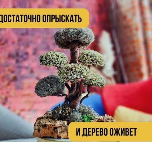Исландский мох. Деревце ручной работы