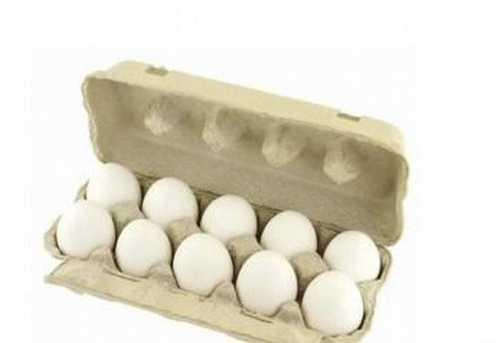 Упаковка для куриных яиц 10шт
