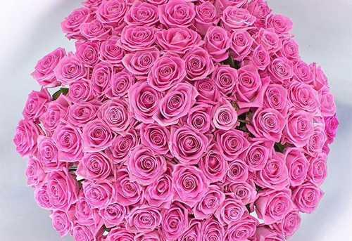 Розы розовые букет из 11, 25, 29, 31, 51 и 101 роз