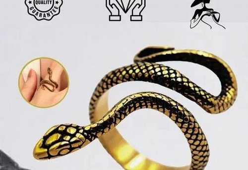 Золотое кольцо змея