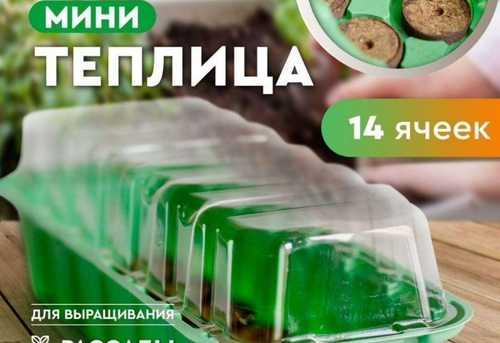 Мини теплица с торфяными таблетками 14 ячеек