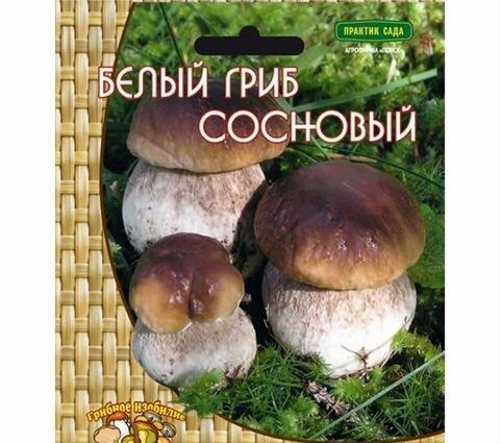 Белый гриб сосновый (мицелий на компосте), 1шт