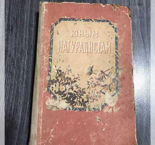 Корчагина, В. Юным натуралистам