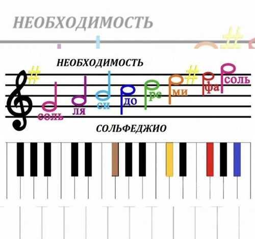 Муз грамота/сольфеджио/набор нот