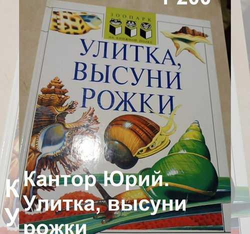 Кантор Юрий. Улитка, высуни рожки