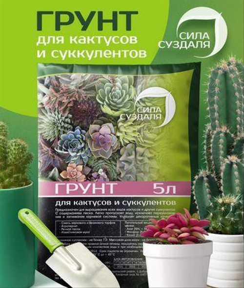 Грунт для кактусов и суккулентов